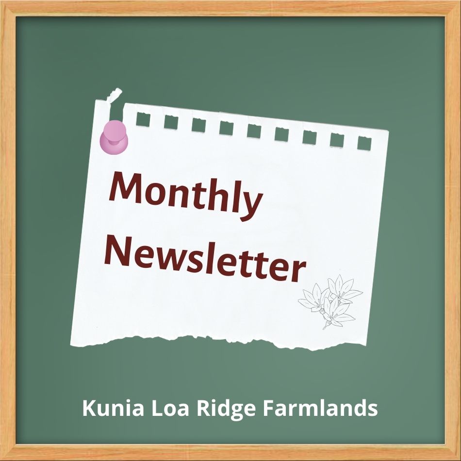 Newsletters and Reports – Kunia Loa Ridge Farmlands